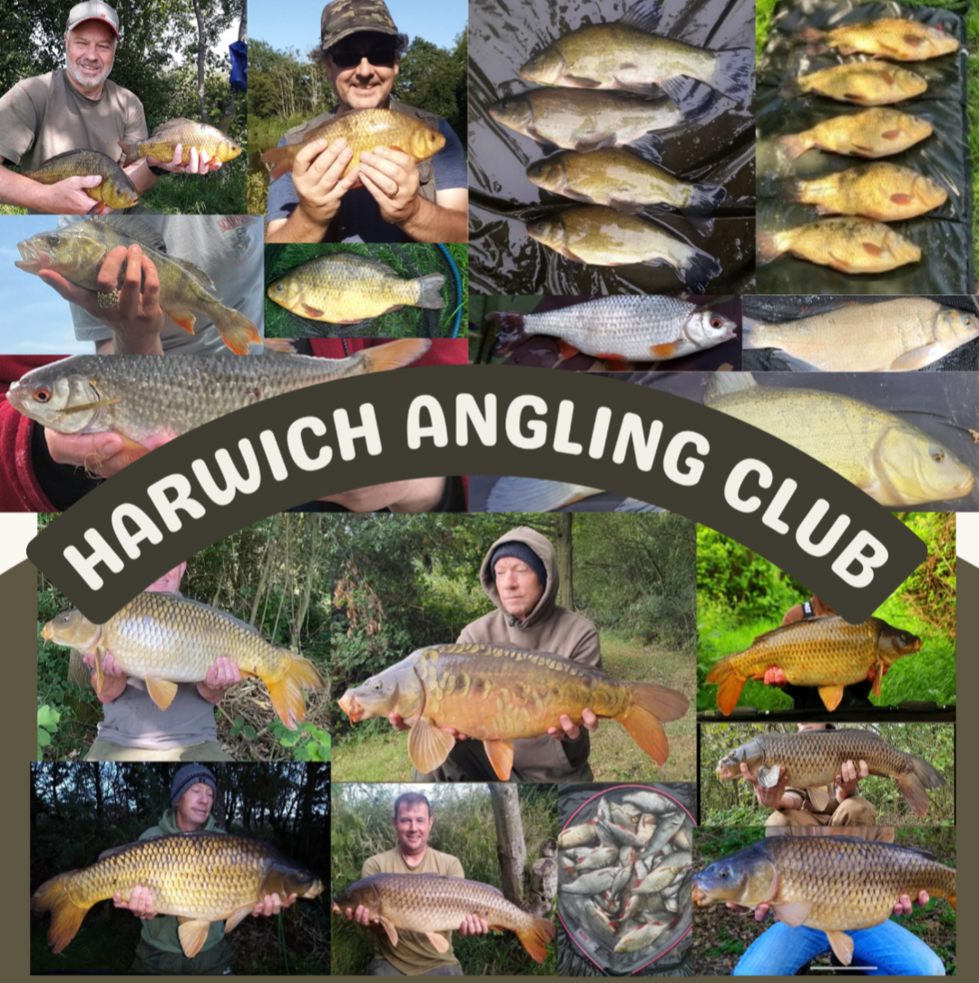 Harwichac.org – Angling-Fishing
